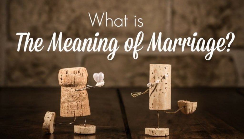 What Is The Meaning Of Marriage Book Oblivion What Is The Meaning Of Marriage Book Oblivion