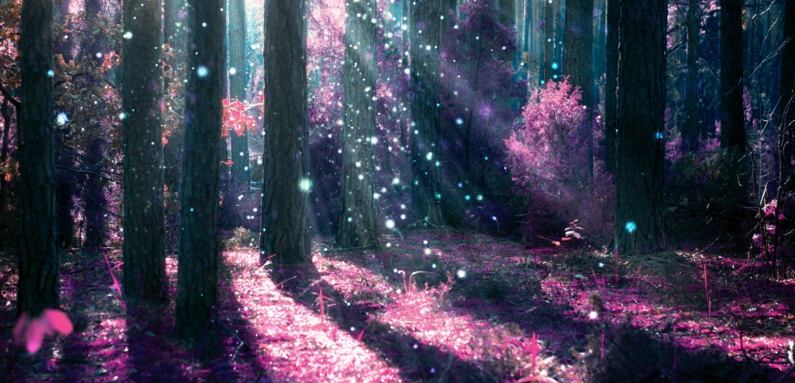 The Best Books For Studying Magical Realism Book Oblivion The Best Books For Studying Magical Realism Book Oblivion